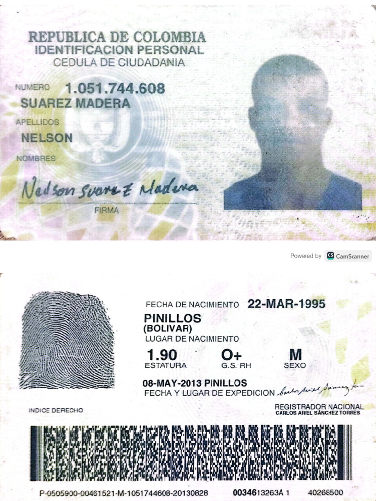 CC Nelson Suarez | PDF