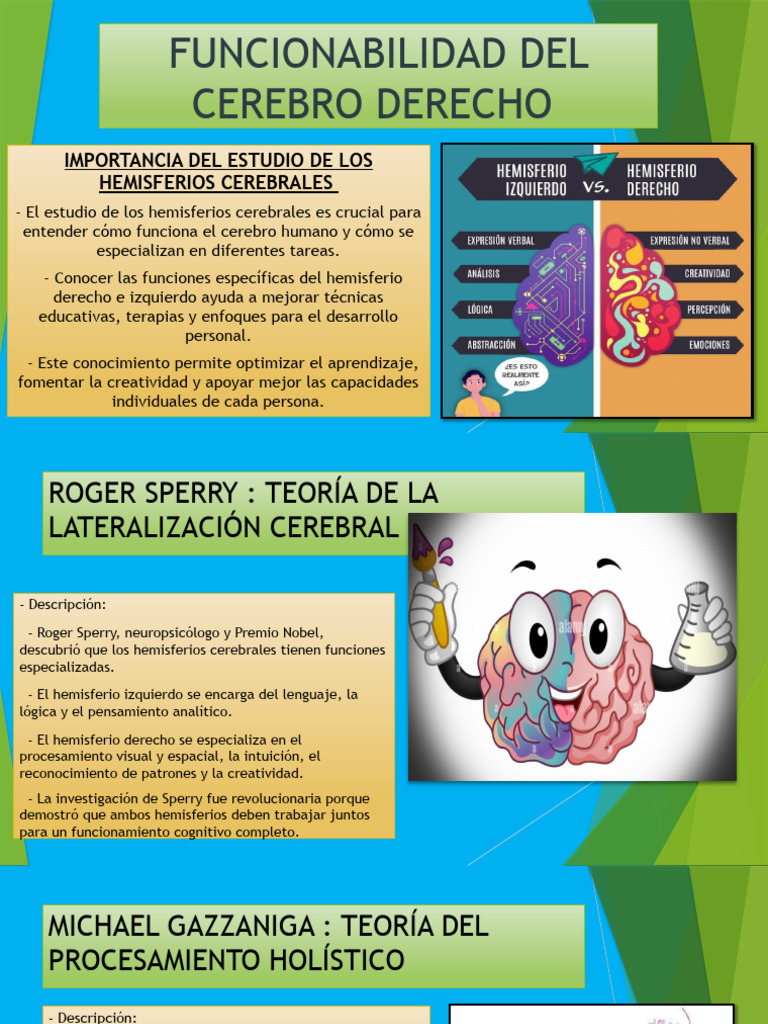 Funcionabilidad Del Cerebro Derecho | PDF | Hemisferio cerebral ...