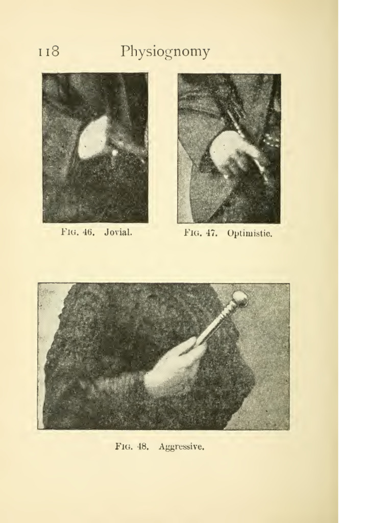 File Face 4 | PDF | Psychology