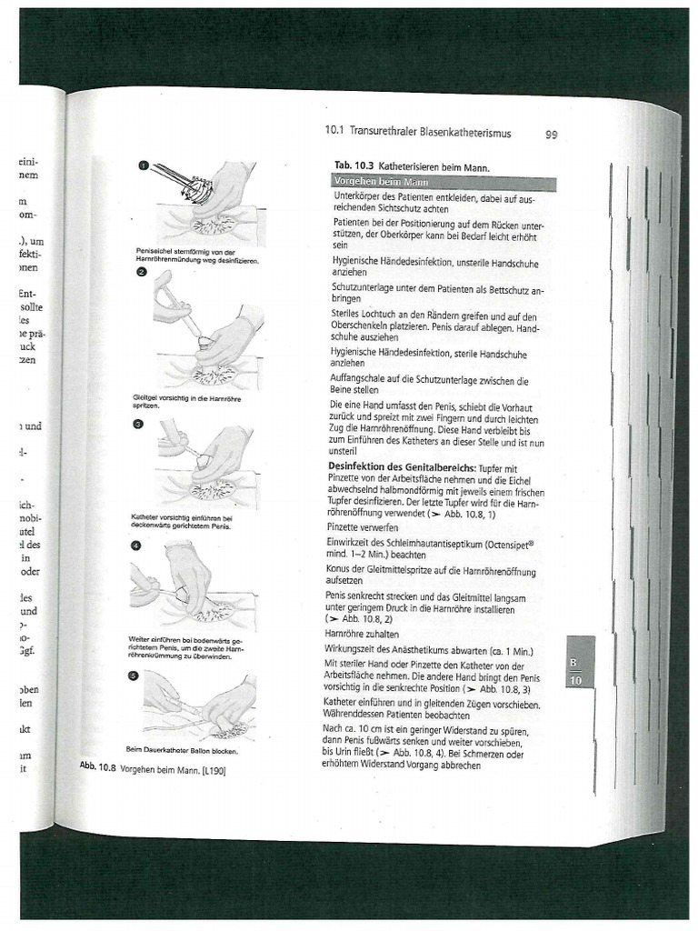 Vorb Script DK Legen 2 | PDF