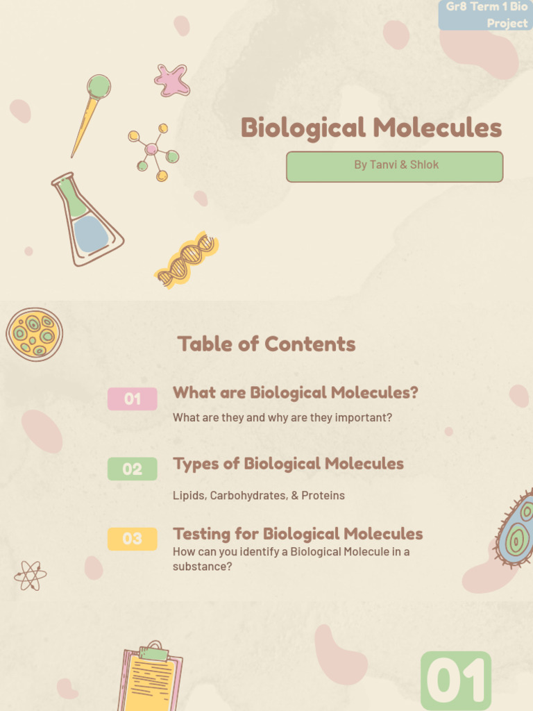 Biological Molecules- Biology T1 Project | Download Free PDF ...