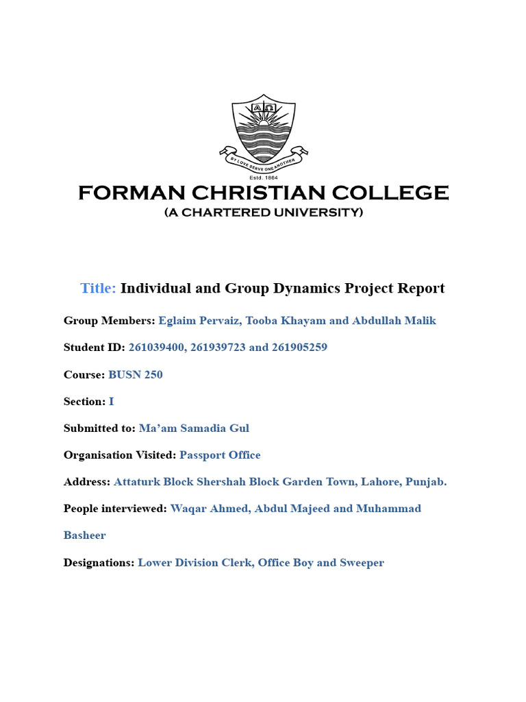BUSN 250 I Report | Download Free PDF | Decision Making | Bias
