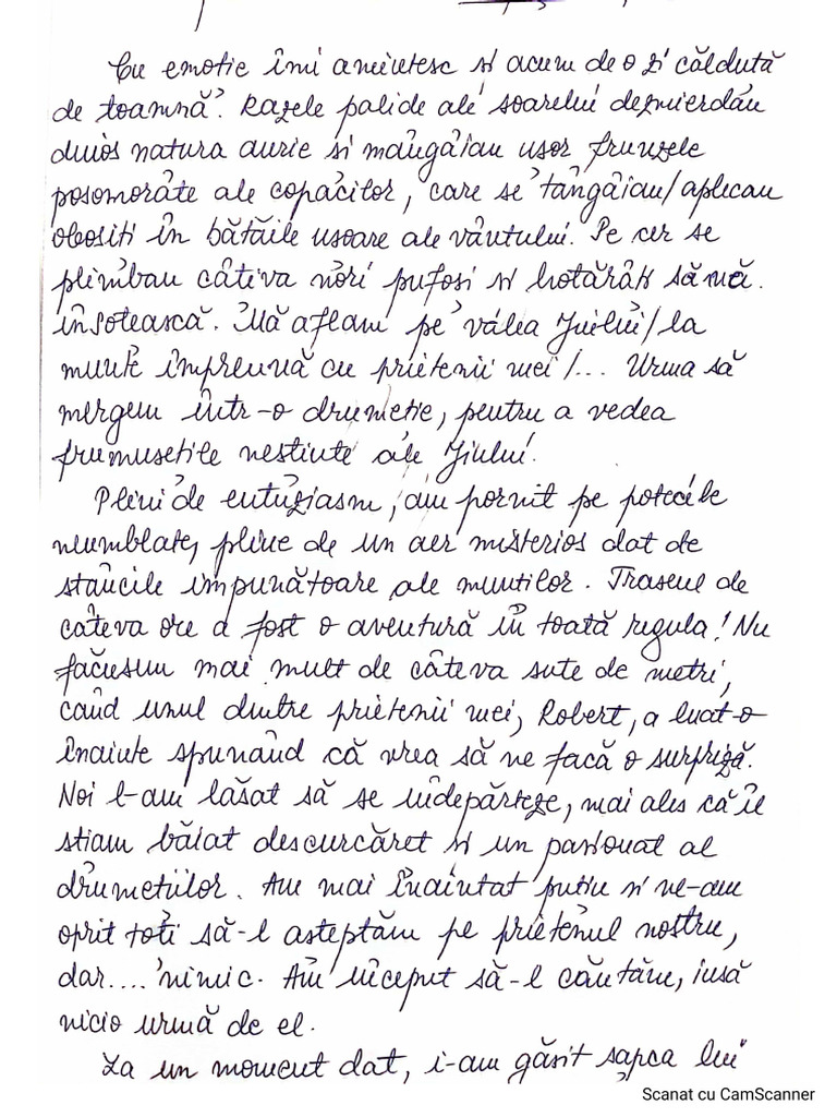 Compunere Narativa | PDF