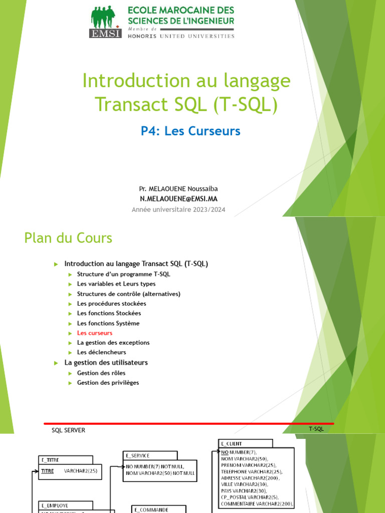 Maîtriser les curseurs T-SQL | PDF | Données informatiques | Programmation informatique