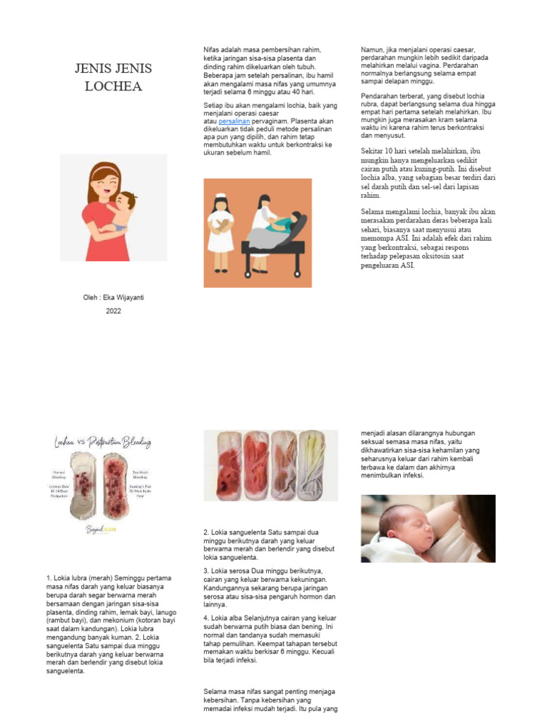 Jenis Jenis Lochea | PDF