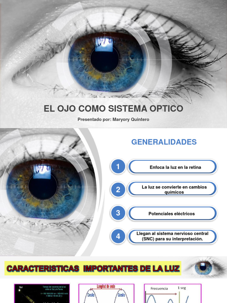 El Ojo: Sistema Óptico y Refracción | PDF | Ojo humano | Óptica