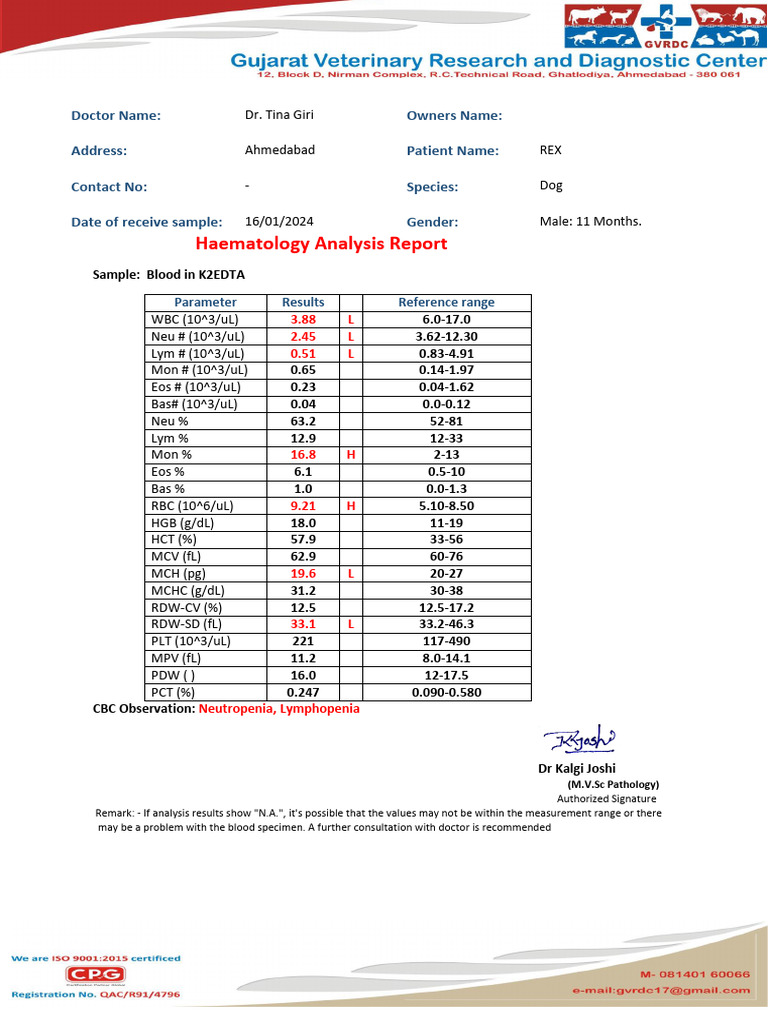 Rex Dog CBC Biochem 16012024 | PDF | Blood | Hematology