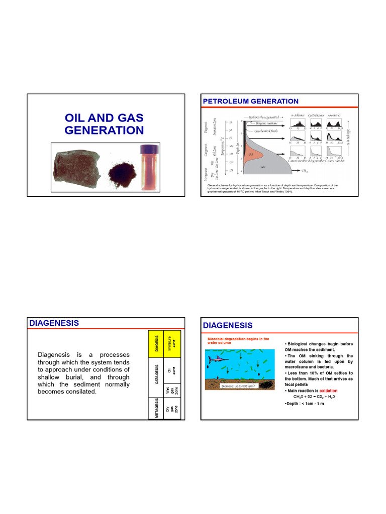 Oil and Gas Generation_Supplementary Slides | PDF | Petroleum | Natural ...