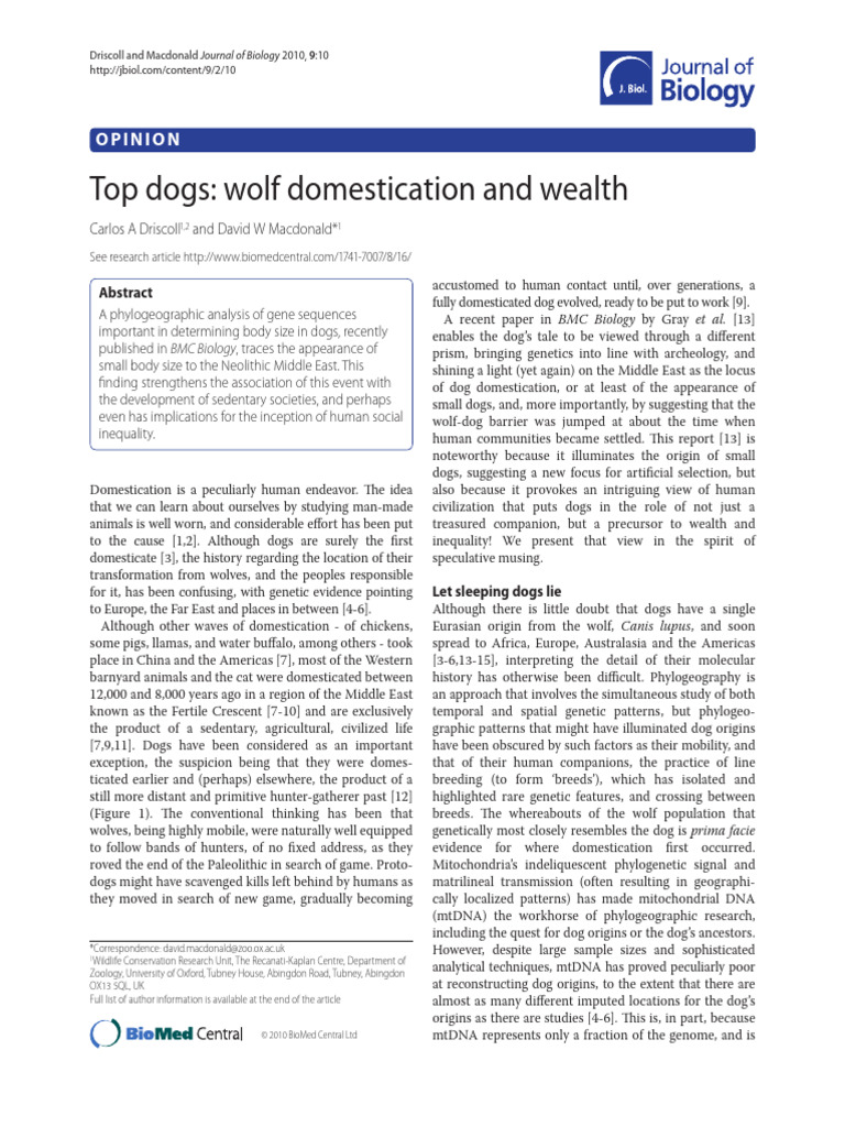 Top Dogs - Wolf Domestication | PDF | Mitochondrial Dna | Dogs