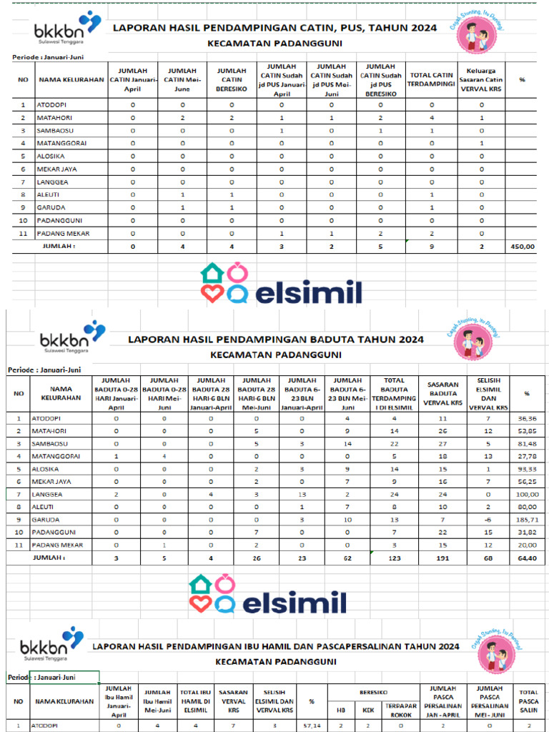 Presentation Elsimil | PDF