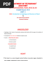 Anatomy Heart Cadaver | PDF | Heart Valve | Coronary Circulation