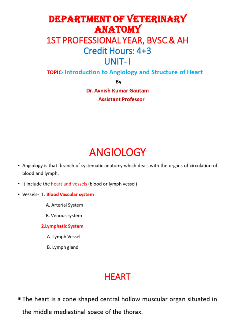 ANGIOLOGY | PDF | Heart Valve | Ventricle (Heart)
