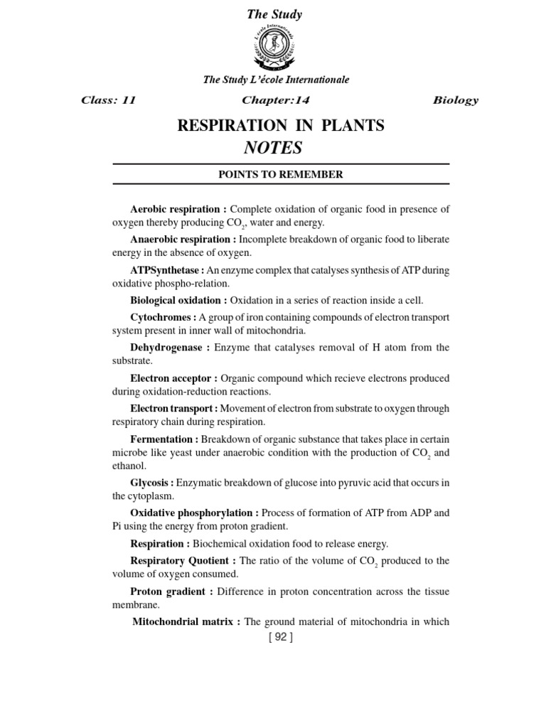 CH 14 RESPIRATION IN PLANTS-NOTES | PDF | Cellular Respiration | Diet ...