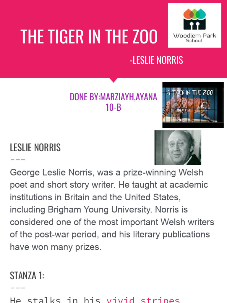 The Tiger in The Zoo - Leslie Norris | PDF