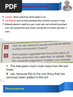 Year 8 Rocks Revision Worksheet | PDF | Rock (Geology) | Petrology