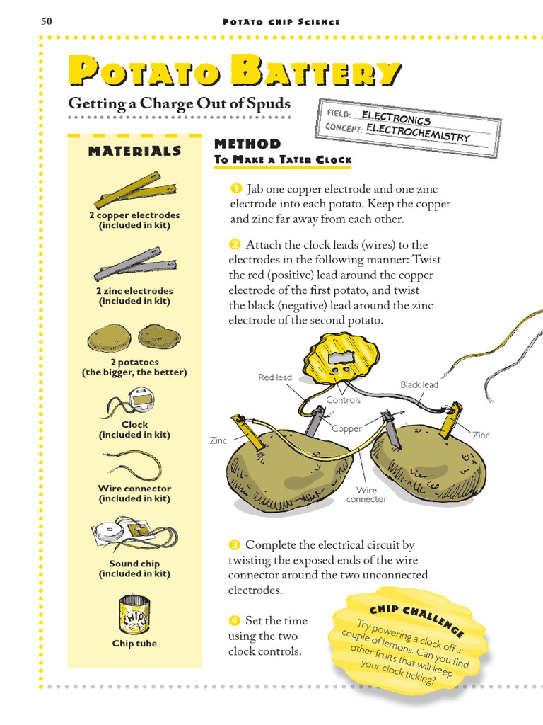 Potato Battery Project Guide | PDF | Electrochemistry | Electricity