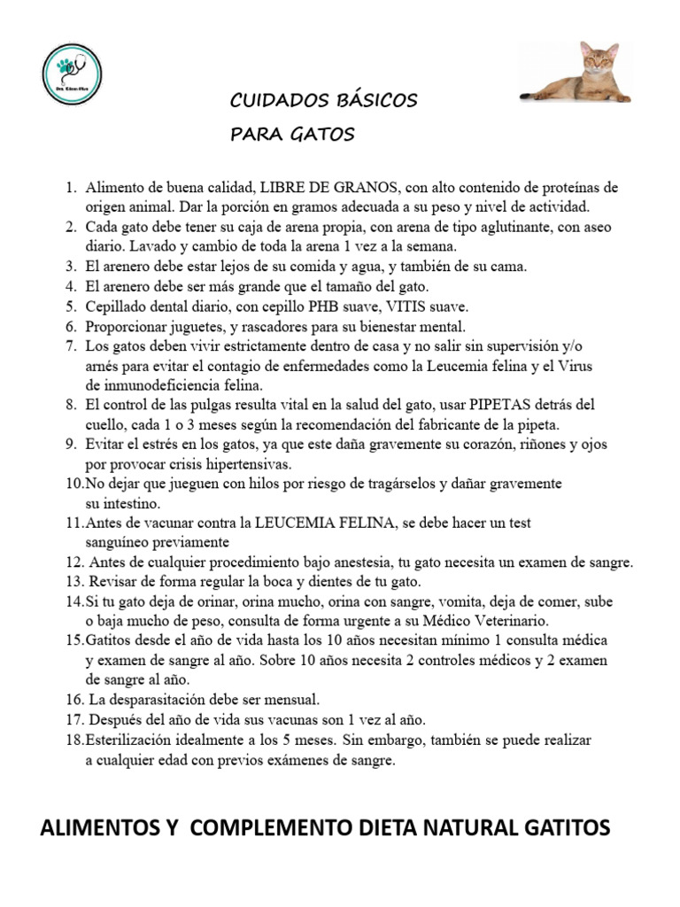 Cuidados y Dieta Gatos | PDF | Gatos | Especialidades Medicas