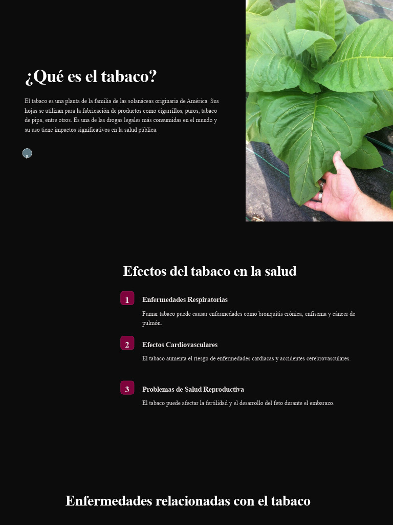 Que Es El Tabaco | PDF | Fumar tabaco | Adicción