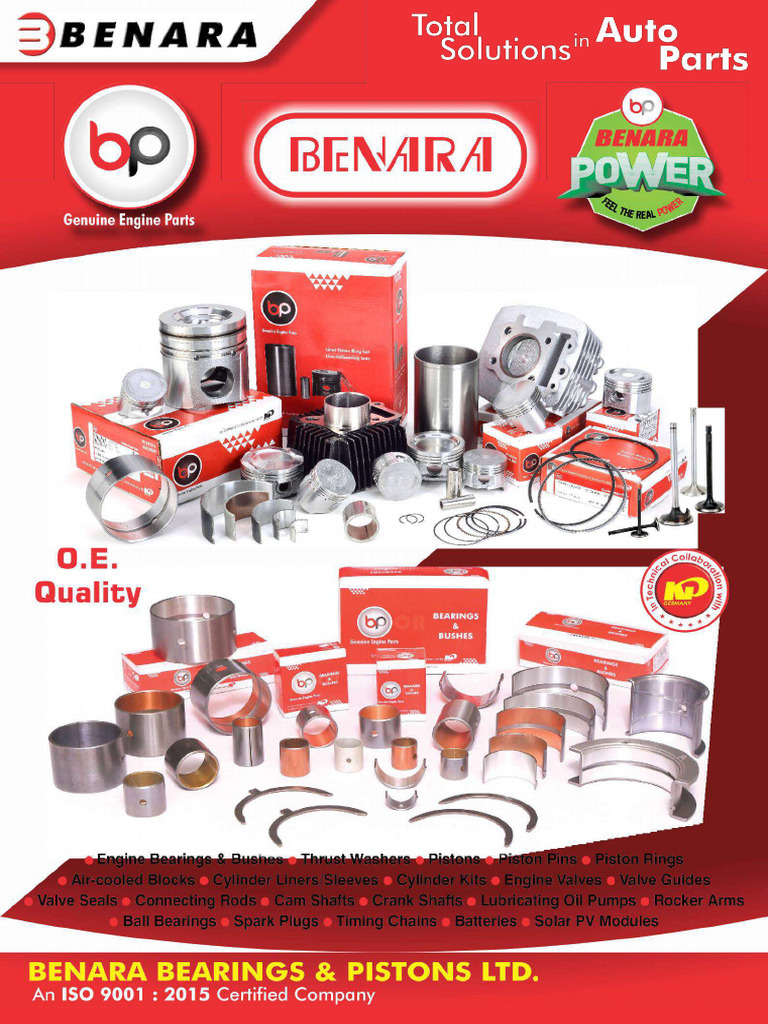 Benara | PDF | Internal Control | Dividend