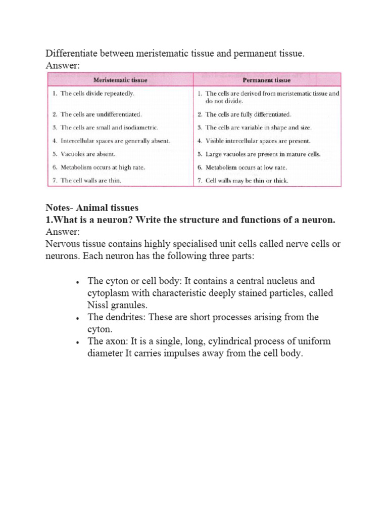 Animal Tissues Notes | PDF | Epithelium | Muscle