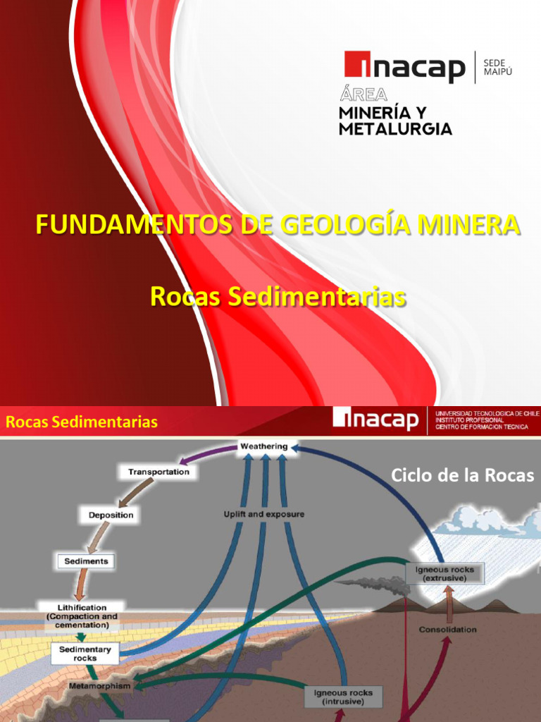 Rocas Sedimentarias | Descargar gratis PDF | Roca clástica | Roca ...