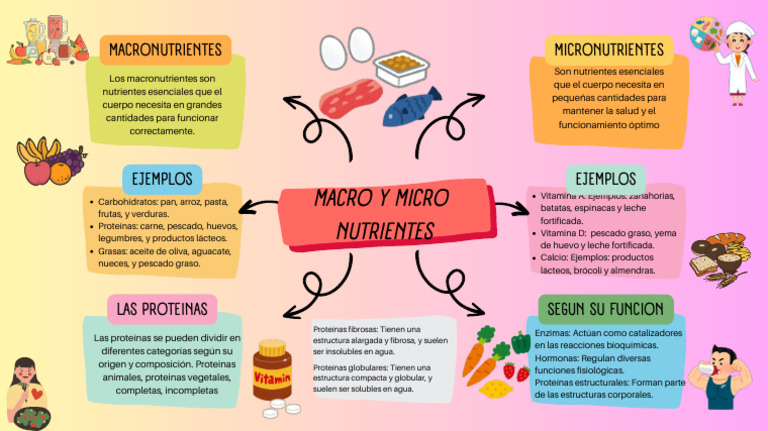 MACRO Y MICRONURIENTES ESQUEMA_ | Descargar gratis PDF | Nutrientes ...