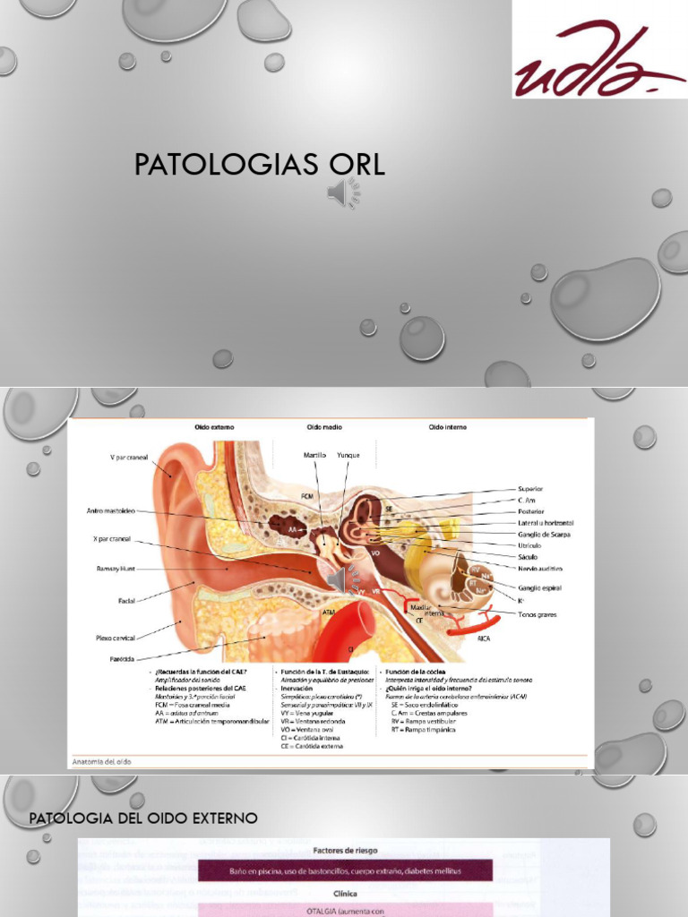 9. 2 OTORRINOLARINGOLOGIA | Descargar gratis PDF | Especialidades ...