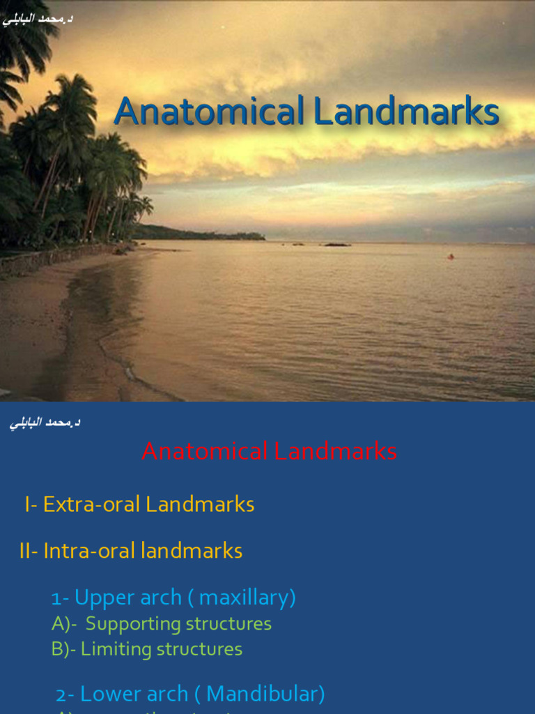 6 Anatomical Landmarks | Download Free PDF | Dentures | Lip