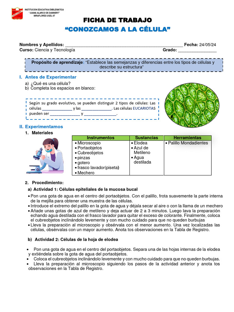 Ficha Celula | PDF | Biología Celular) | Biología Celular