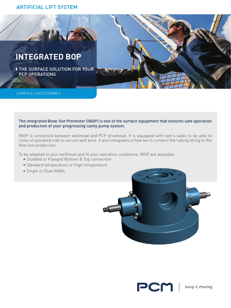 BOP Integral para BCP 2 | PDF