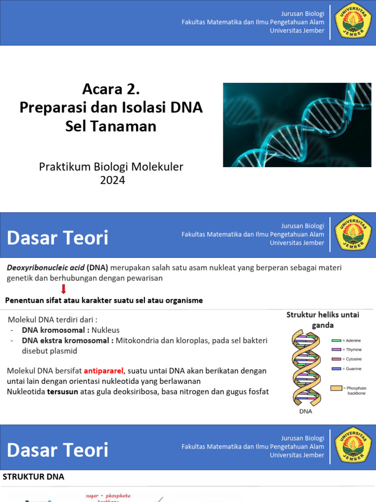 Preparasi Dan Isolasi DNA Sel Tanaman (Praktikan) | PDF