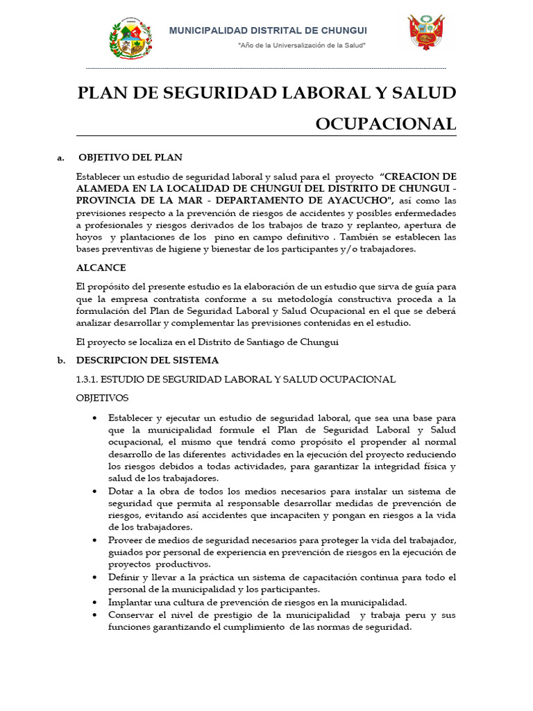 Plan de Seguridad Laboral y Salud Ocupacional Ok | Descargar gratis PDF | Seguridad y salud ...