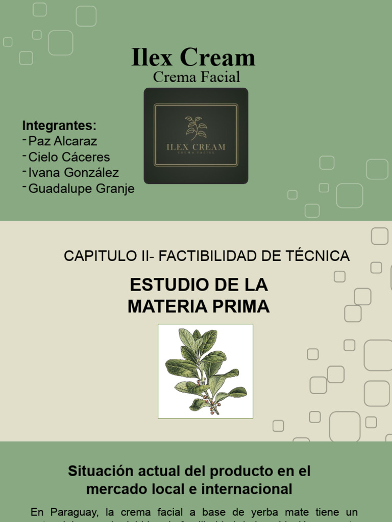 Crema Facial de Yerba Mate: Innovación y Mercado | PDF | Hoja ...