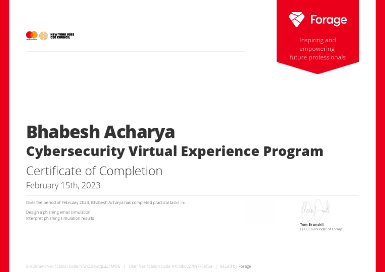 Cybersecurity (Forage) | PDF