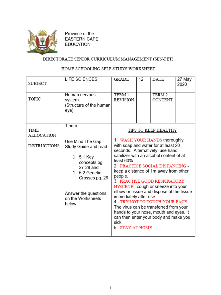 c1 Life SC GR 12 WORKSHEET 4 Eye Structure and Function | PDF | Human ...