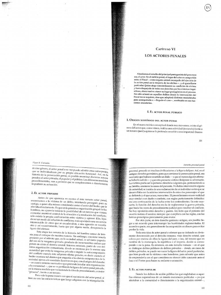 Corvalan - Los Actores Penales | PDF