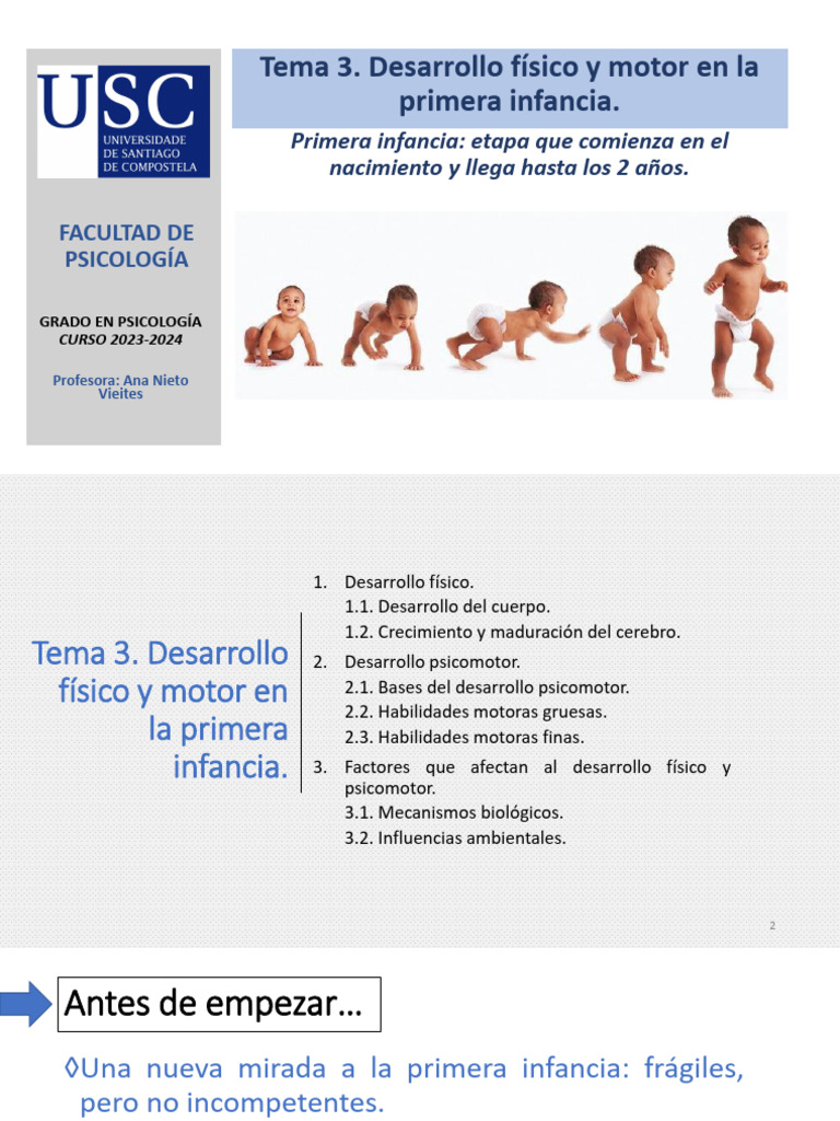 Tema 3. Desarrollo FÃ - Sico y Psicomotor en La Primera Infancia. ALUMNOS | PDF | Sinapsis | Neurona