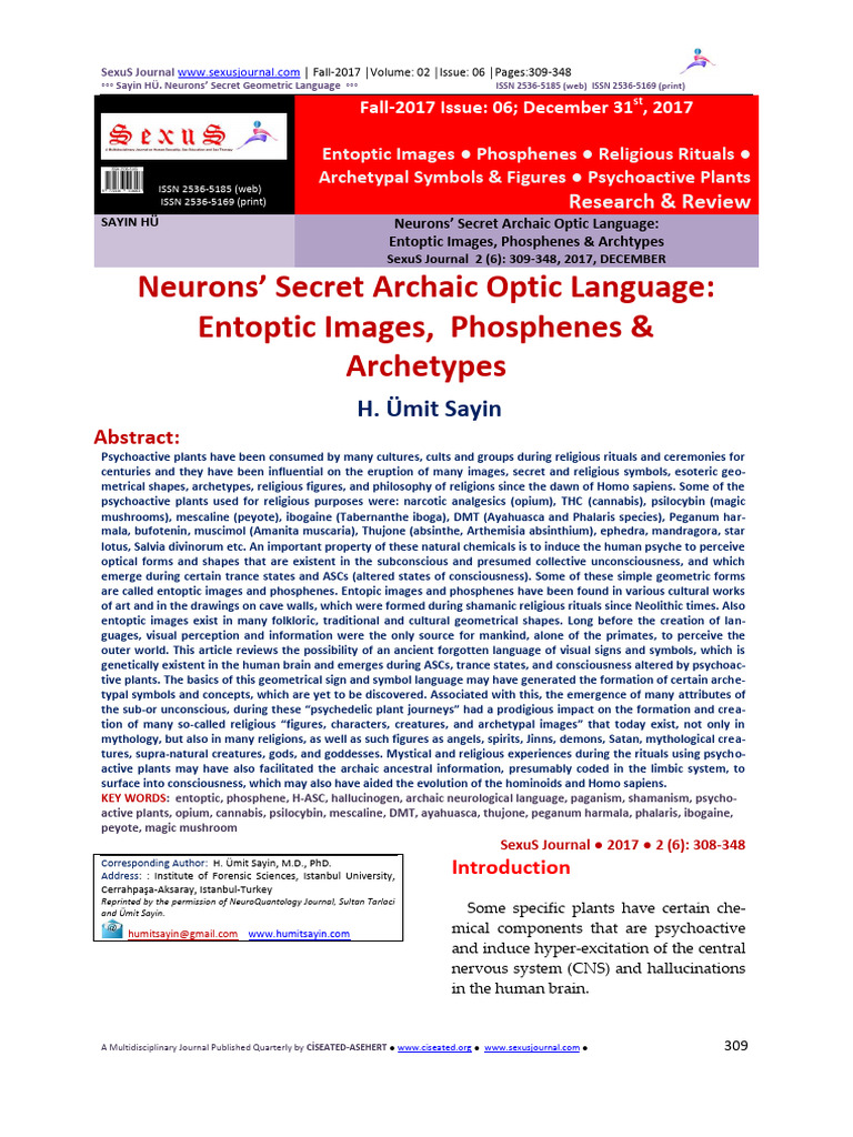 SAYIN Entoptic Image Neurological Language Fall 2017 Vol 2 No 6 | PDF | Frequency | Psilocybin