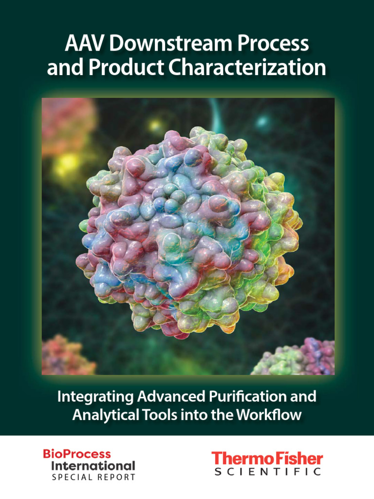 AAV Downstream Process | PDF | Viral Vector | Polymerase Chain Reaction