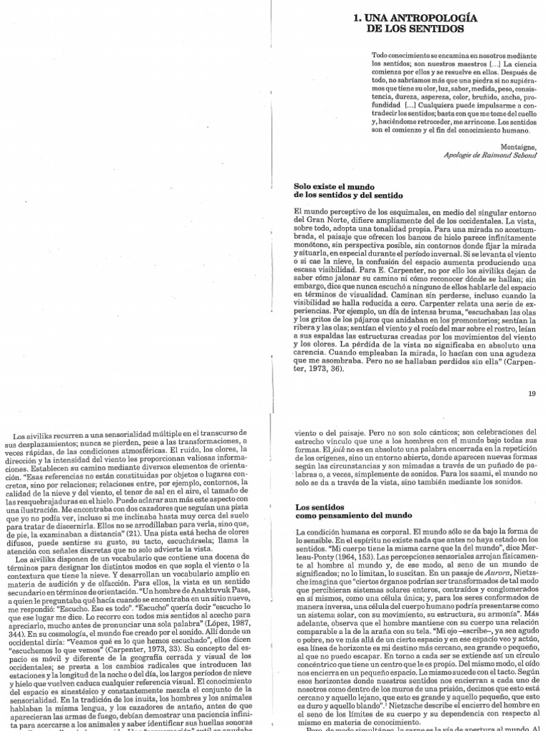 El Sabor Del Mundo - Le Breton | PDF