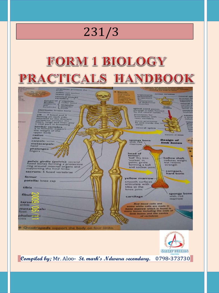 F4 Biology Practcals Term 1 | PDF | Human Tooth | Leaf