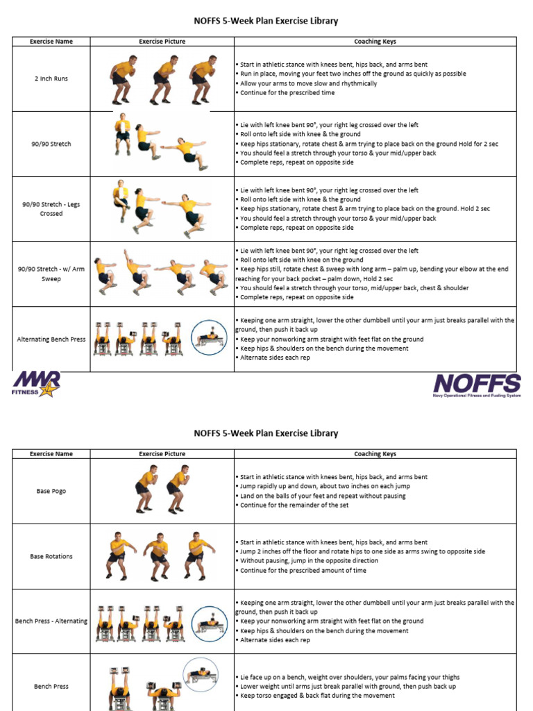 Noffs 5 Week Plan Exercise Library | PDF | Anatomical Terms Of Motion ...