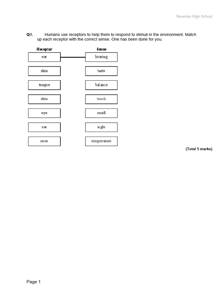 Nervous System Exam Questions Overview | PDF | Motor Neuron | Neuron