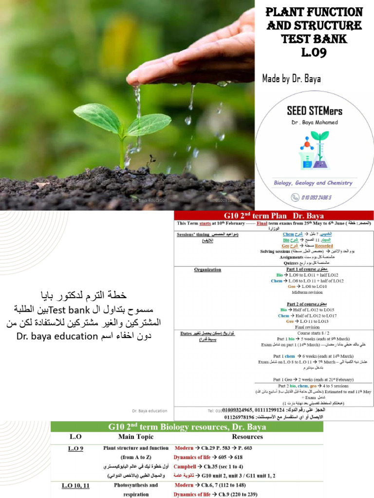 G10 L O9 Bio Plant Structure and Function Testbank DR Baya Education ...
