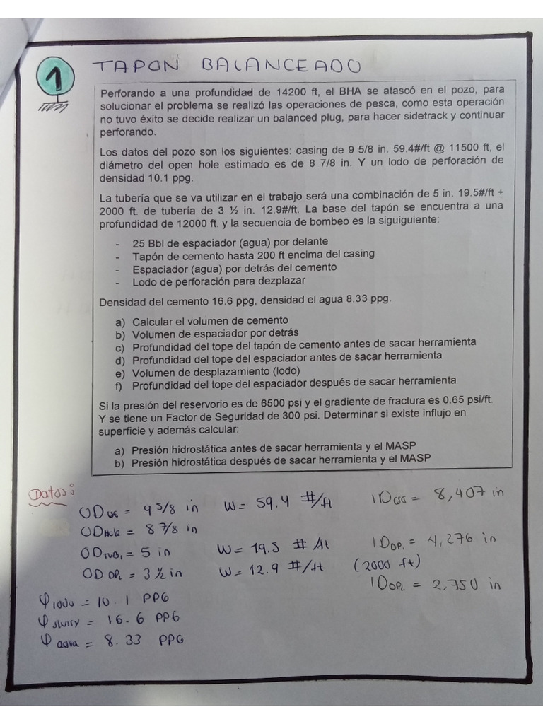 Práctica 1 (Aux Pet 210) | PDF