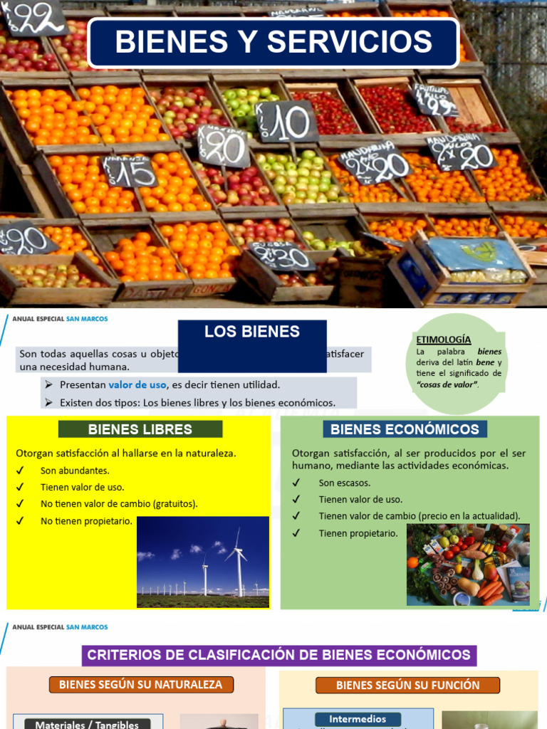 Bienes y Servicios | PDF | Bienes | Economias