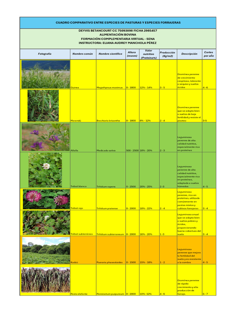 Cuadro Comparativo | PDF | Pasto | Forraje