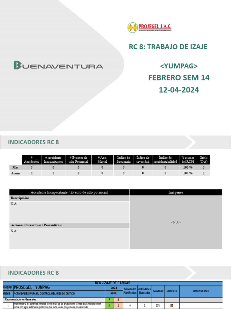 RC 08 Izaje de Cargas Prosegel 12.03.24 Rev3 | PDF