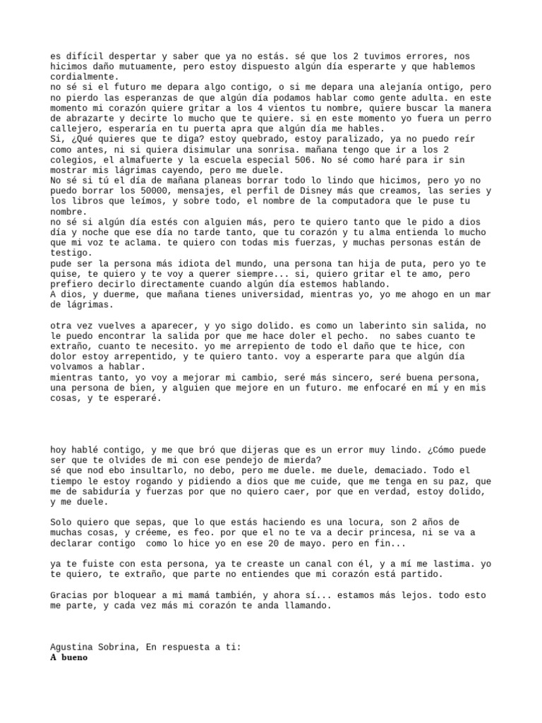 Querido Diario Pdf