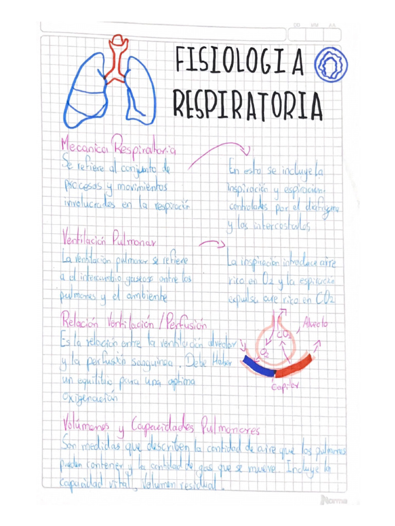 Mapas de fisiología cardiovascular | PDF